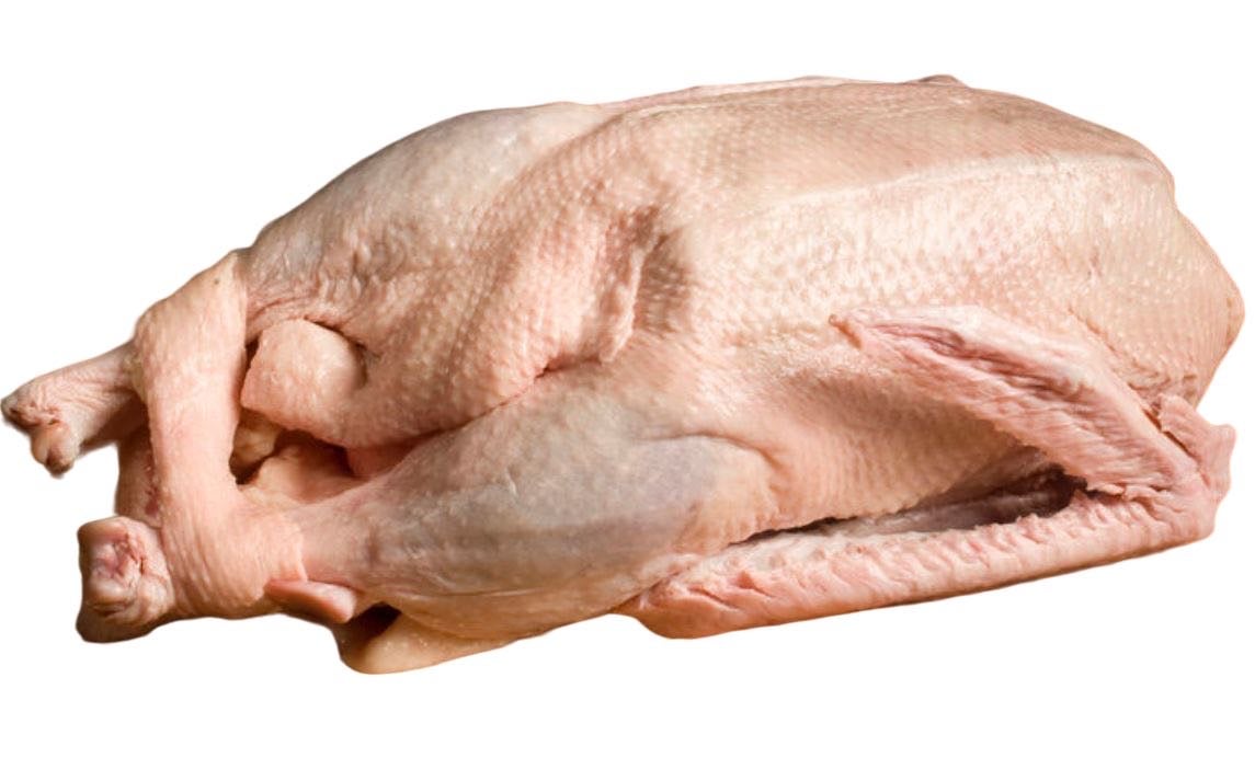 Goose approx 2.5kg FROZEN | BOB best of beef